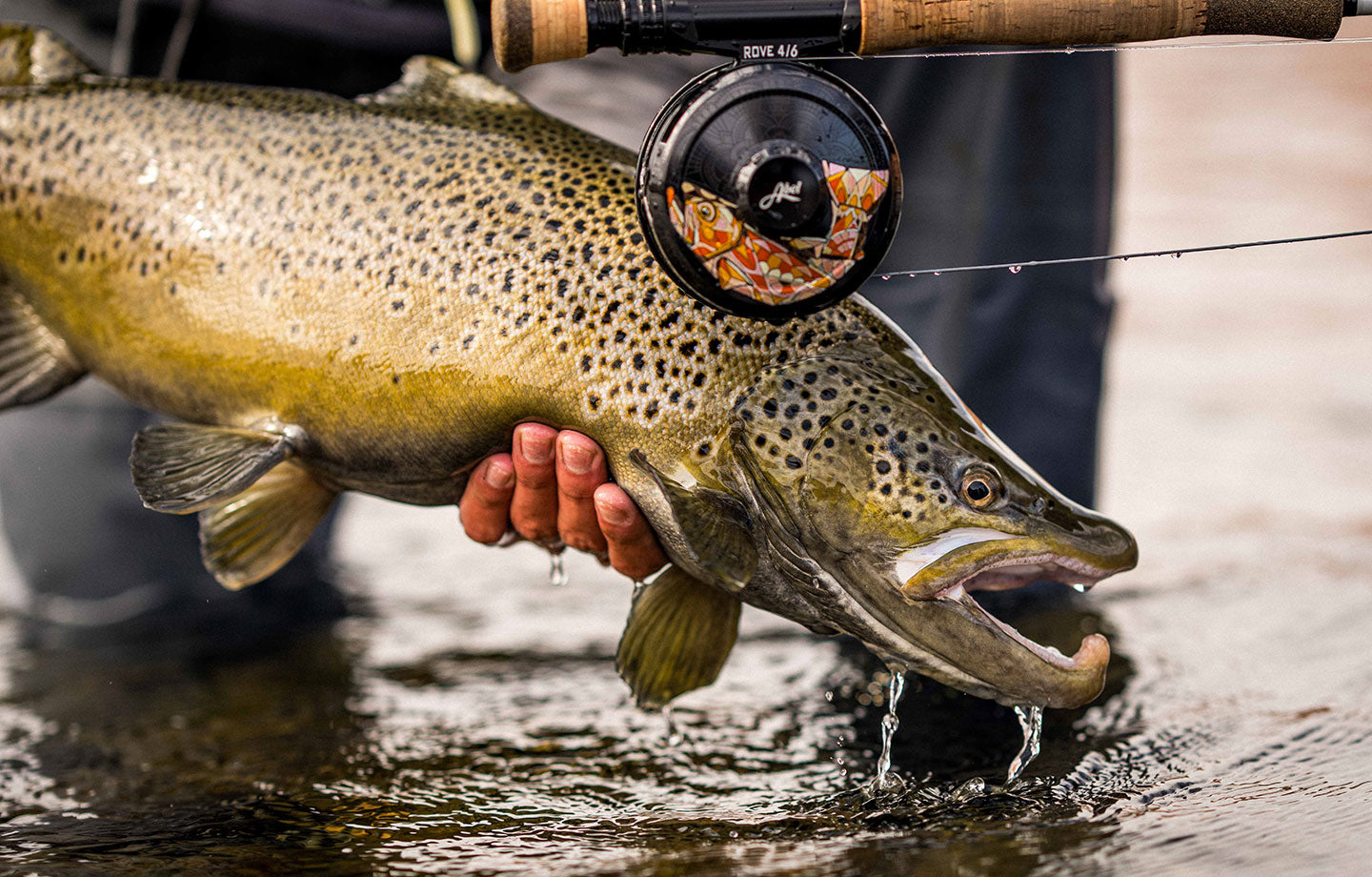 Abel Reels Contact Us – Mayfly Outdoors
